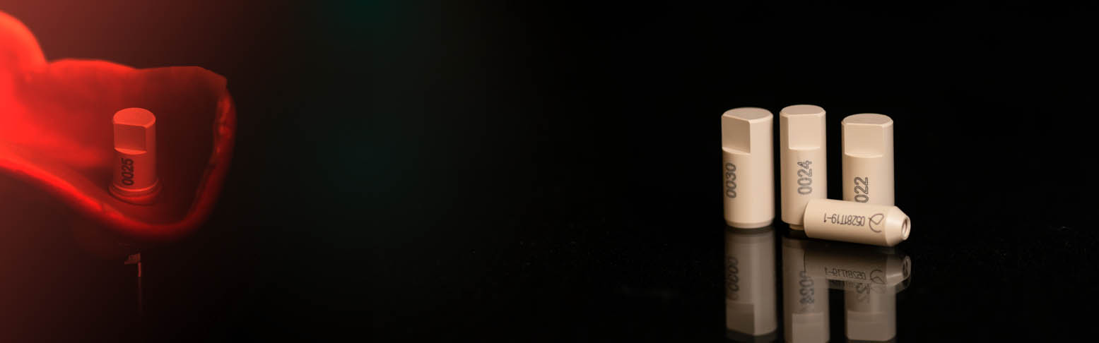 SCANALOG - Dynamic Abutment Solutions ES